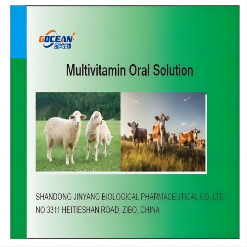 Supply Multivitamin Oral Solution 1 Liter Wholesale Factory - Shandong ...