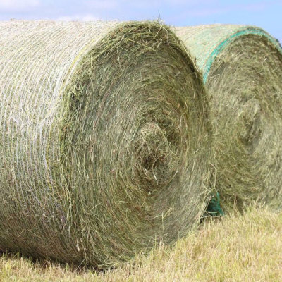 Bale Net Wrap - Solution for Your Baling Needs