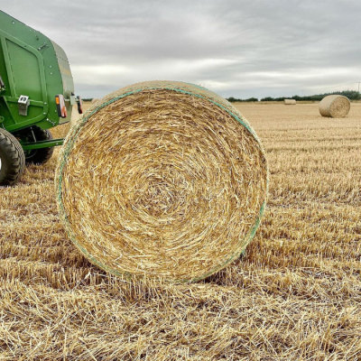 Why are bale net wrap popular?