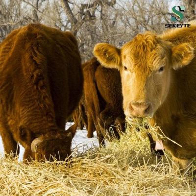 China What is bale grazing? Wholesale Factory - Liaoning Hengfa ...