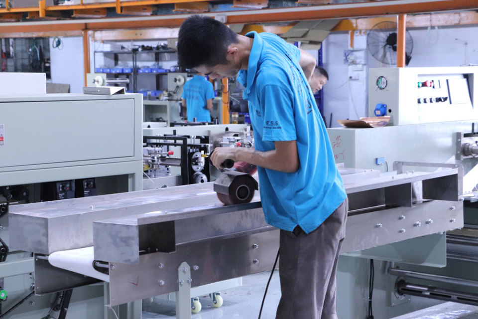 Vertical Packaging Machine, Horizontal Flow Wrapping Machine, Doypack ...