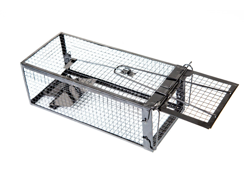 Supply Collapsible Humanized Large Wildlife Cage Trap Wholesale Factory ...