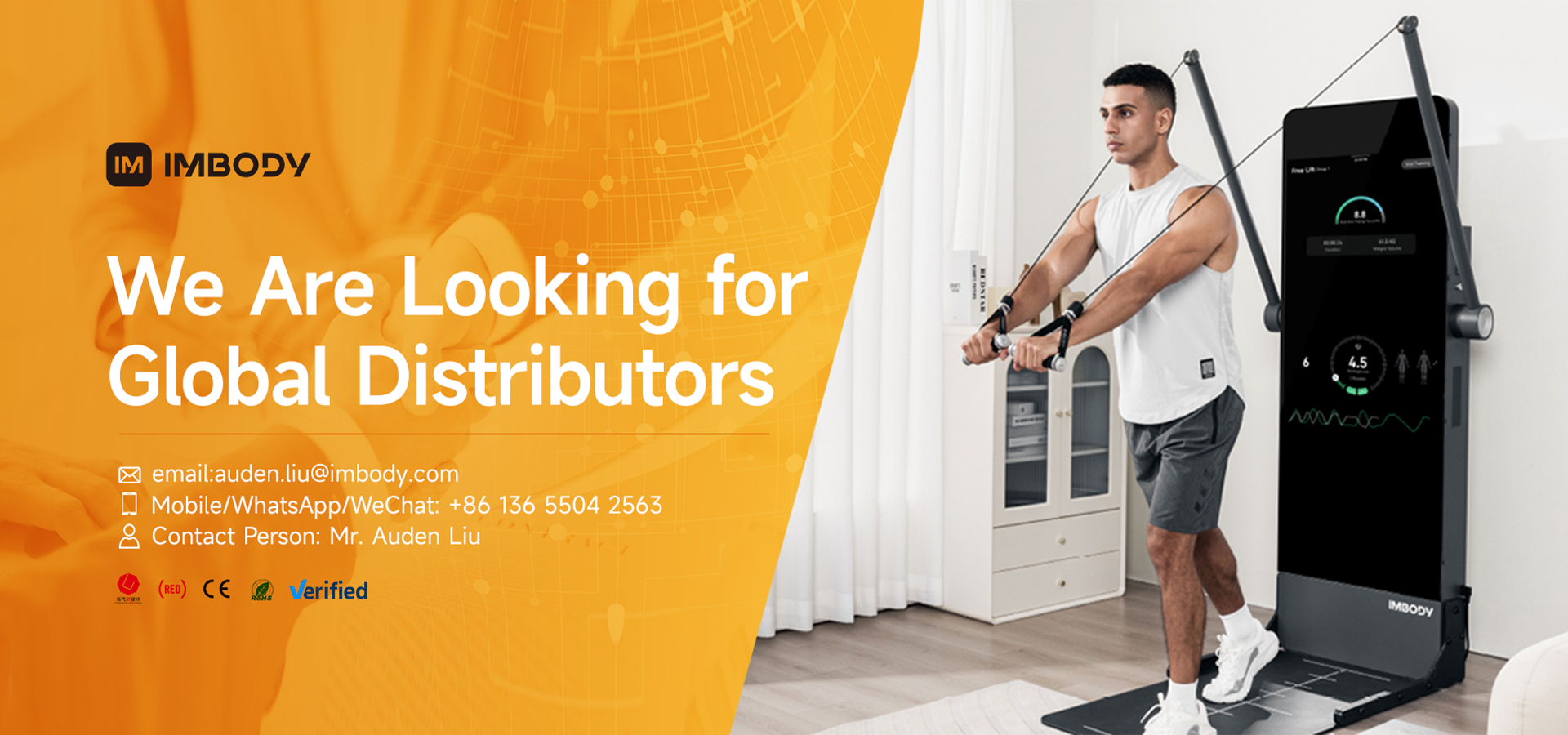 IMBODY SMART STRENGTH FITNESS MIRROR, THE SMART COMPACT HOME GYM, GYM ...