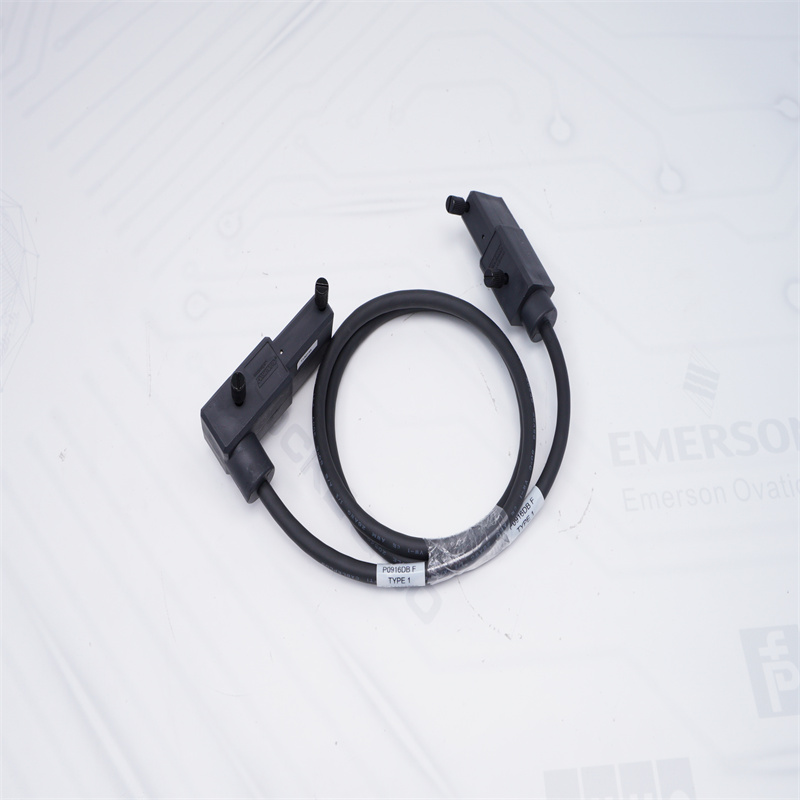 Supply P0916DB Foxboro Cable Plus Wholesale Factory - Spare Center
