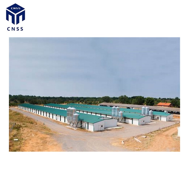 Supply Steel Poultry Chicken Farm Wholesale Factory - Liaoning Zhongbei ...
