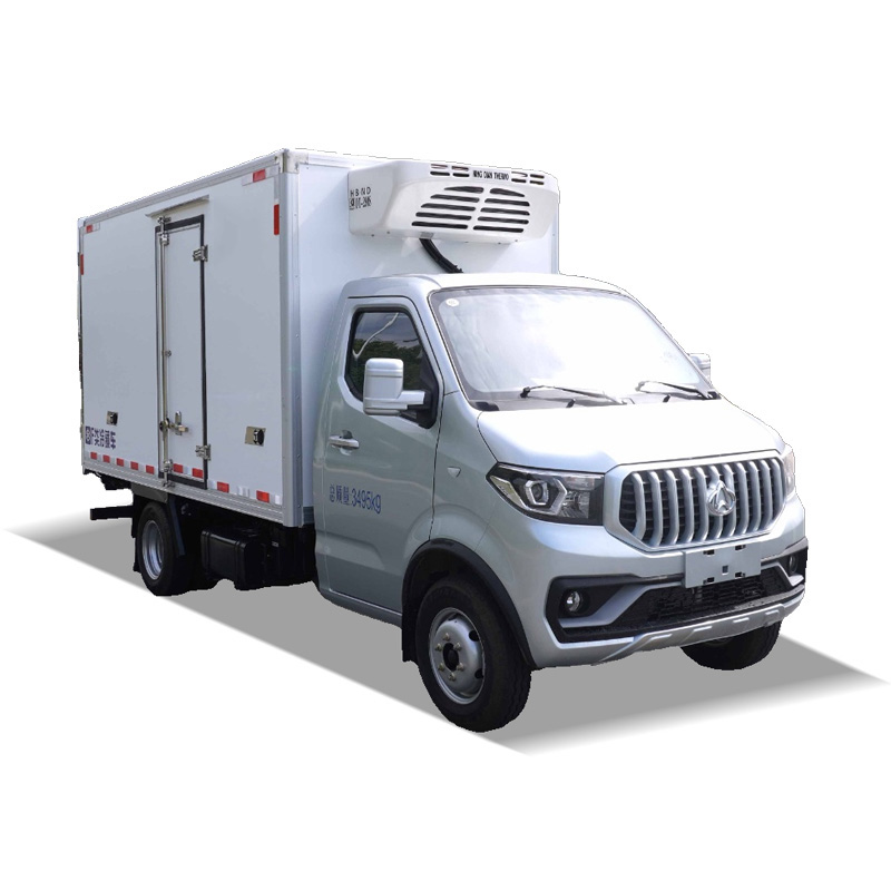 Supply Changan Shenqi T30 (Rear Dual-Wheel) Small Refrigerated Van ...
