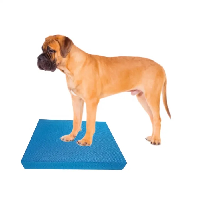 Supply Dog Balance Pad Wholesale Factory - Usmile (Dalian) Pet Products ...