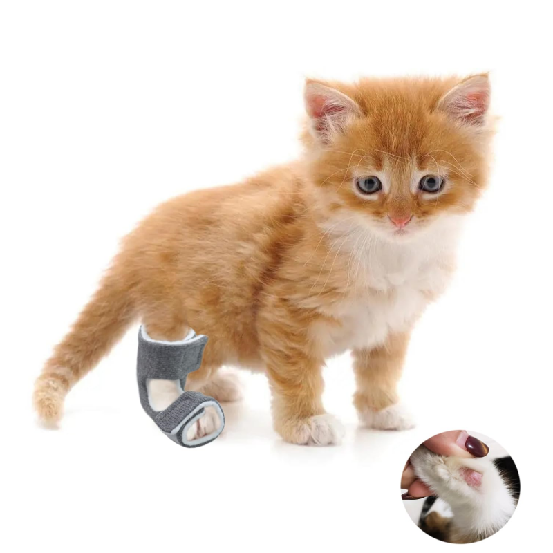 Supply Cat Splint Wholesale Factory - Usmile (Dalian) Pet Products Co ...