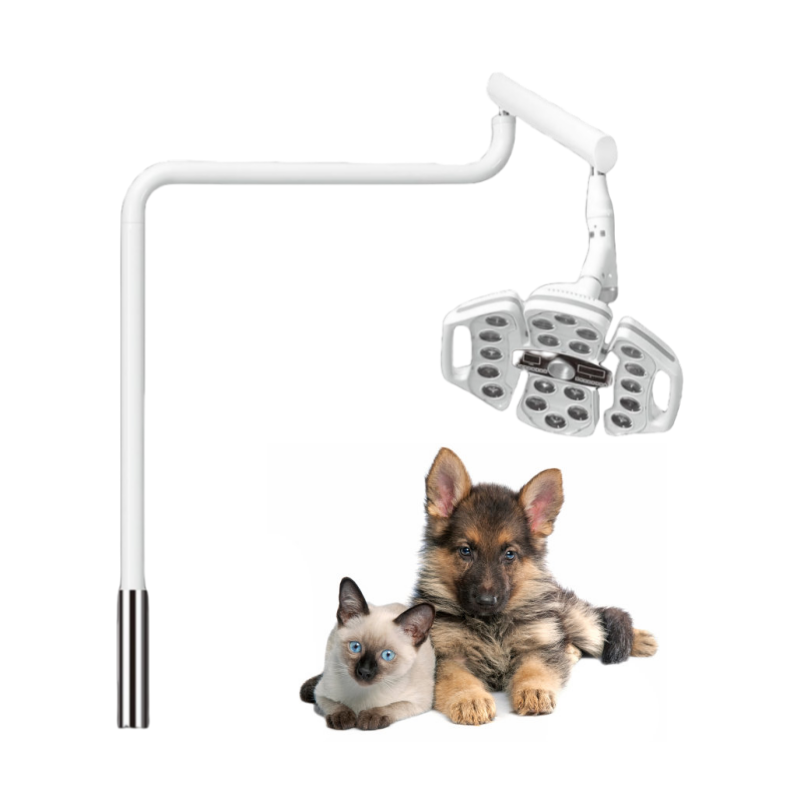 Supply Veterinary Surgical Light Wholesale Factory - Dalian Usmile Pet ...