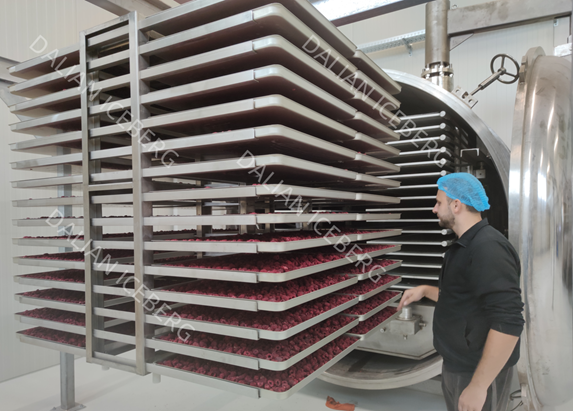 Supply 100㎡ Large vacuum lyophilizer Wholesale Factory - Dalian Iceberg ...