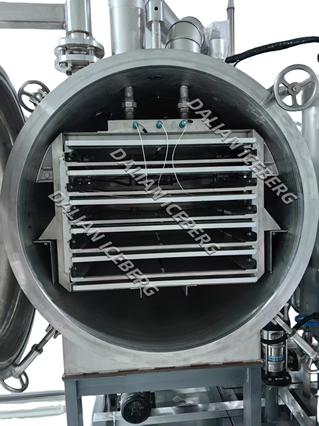Supply 2㎡ small scale freeze dryer Wholesale Factory - Dalian Iceberg ...
