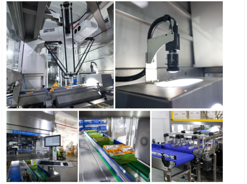 Supply 4 Axis Parallel Packing Robot For Bakery Food Packing Wholesale ...