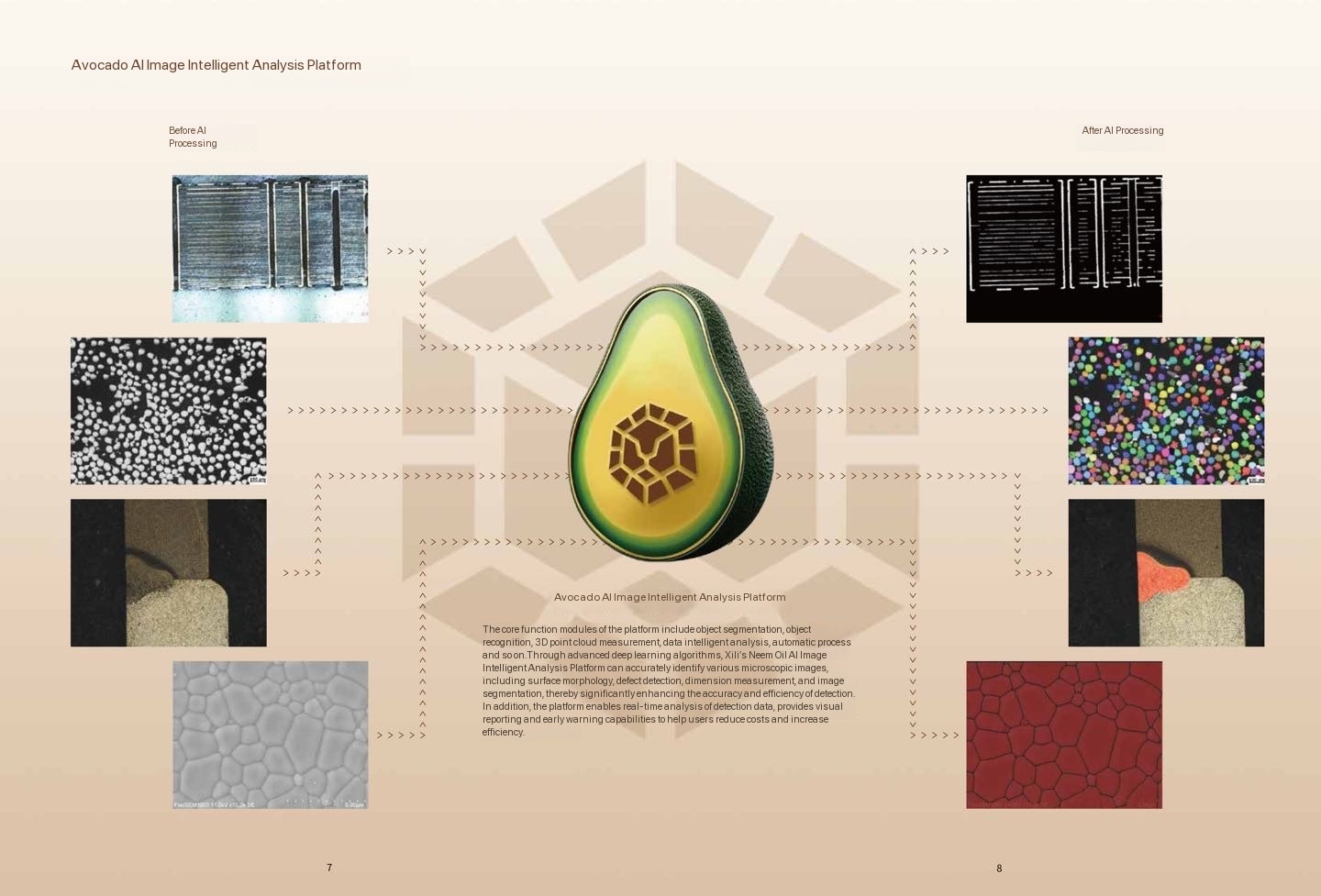 Supply MTS Series Spectral Confocal 3D Topography Measurement System ...